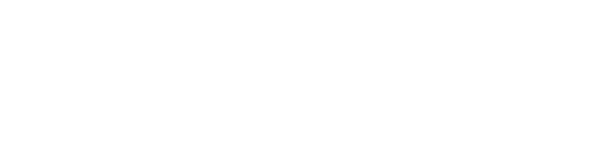 BVSS – Berufsverband Sprachgestaltung / Schauspiel